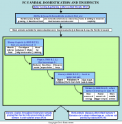 FC5: The Domestication of Animals and its Effects - The Flow of History
